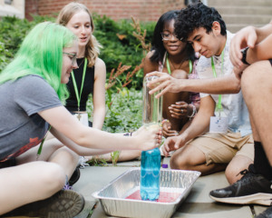 High School Environmental Summer Program | National Student Leadership ...