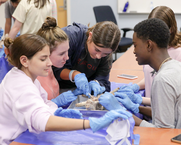 Join Our Forensic Science Summer Camps Today