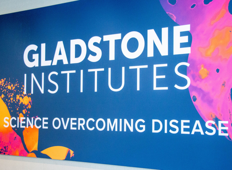 Explore Summer Medical Programs for High School Students