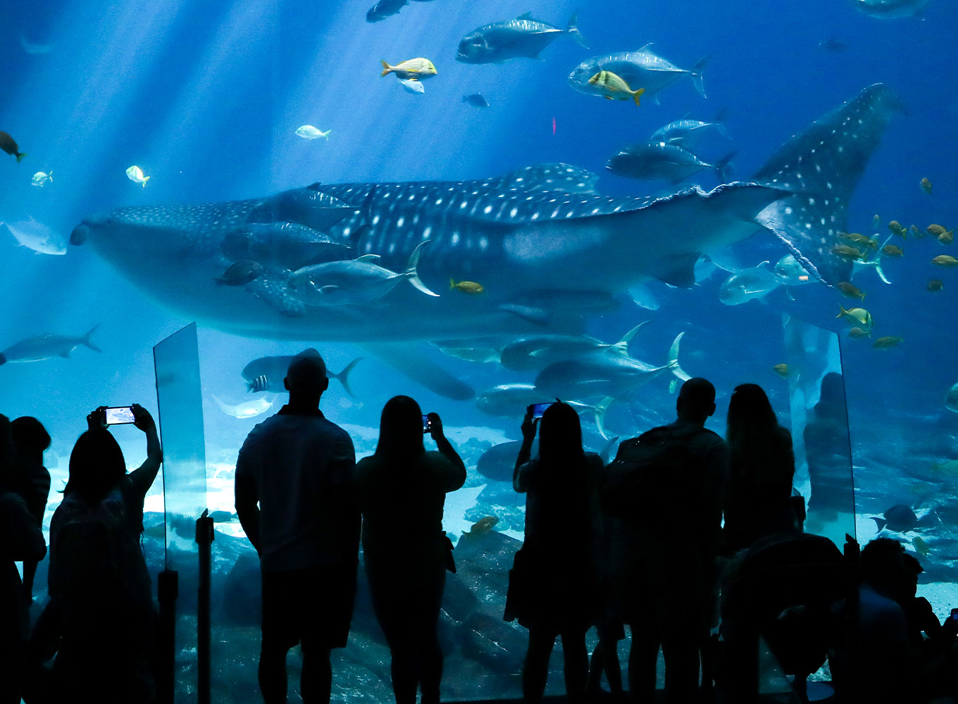 High School Environmental Summer Program | National Student Leadership ...