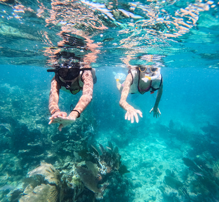 High School Marine Biology Program | National Student Leadership Conference