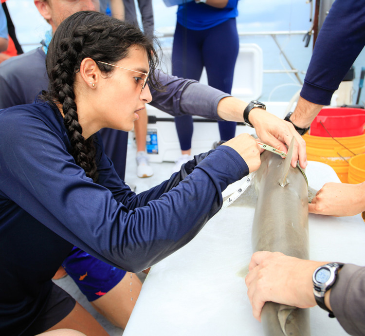 High School Marine Biology Program | National Student Leadership Conference