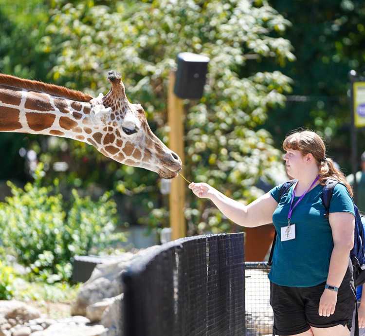 High School Summer Veterinary Program | National Student Leadership ...