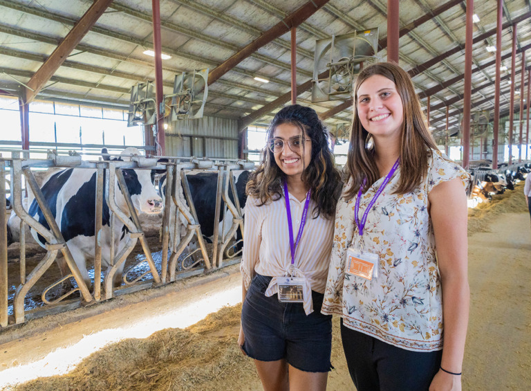 High School Summer Veterinary Program | National Student Leadership ...